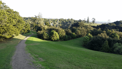 Pt. View Reserve Views and Bush! - Great Auckland Walks